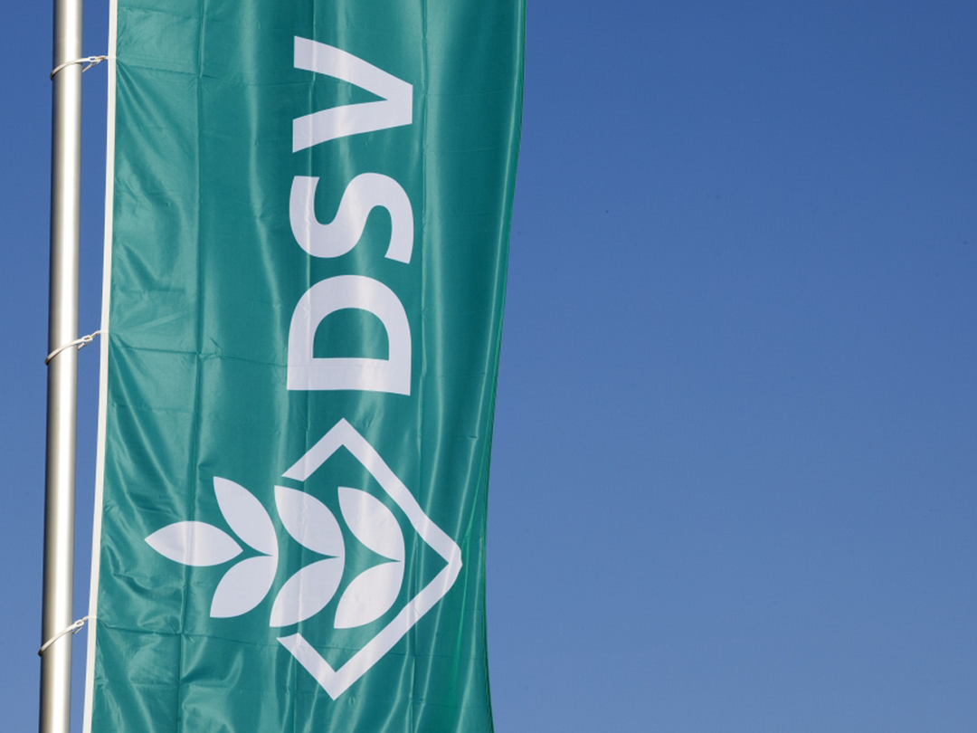 DSV | o Nas